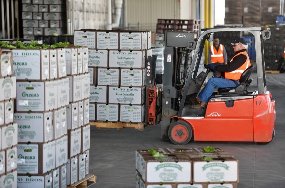 Linde E20C Fiches techniques & données techniques (2022-2025) | LECTURA ...