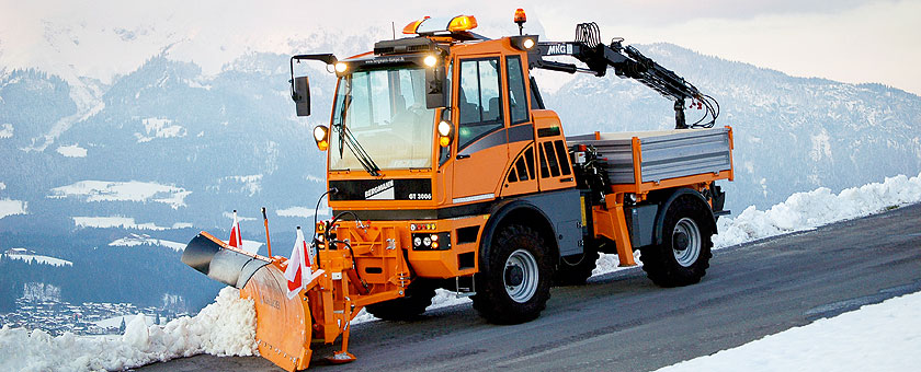 Bergmann GT 3006 Fiches techniques & données techniques (2007-2021) | LECTURA Specs